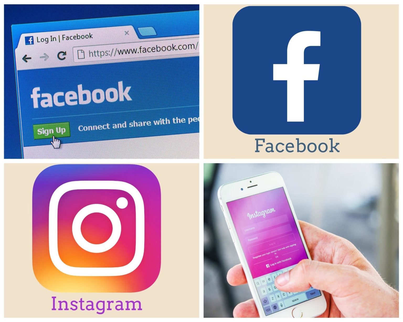 15 Must Haves for Your Website - Carlene Kelsey